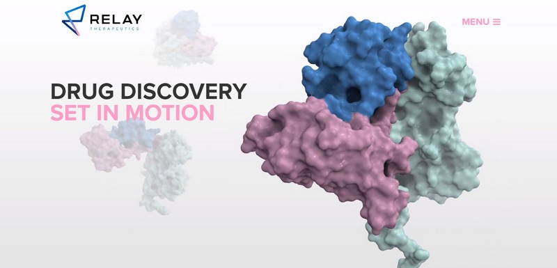 Relay Therapeutics (RLAY) | IPO 2020
