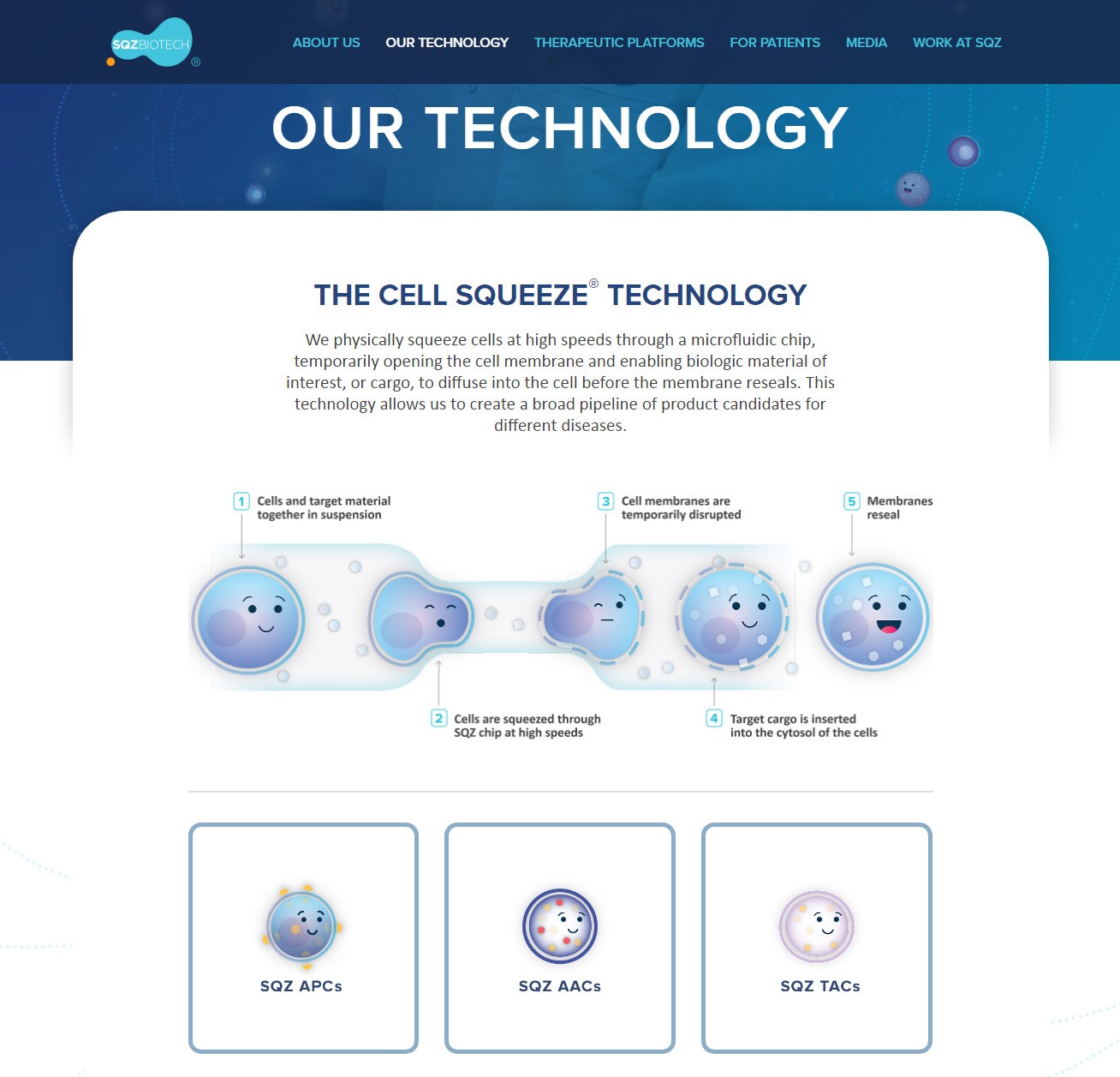 SQZ BIOTECHNOLOGIES COMPANY (SQZ) | IPO 2020